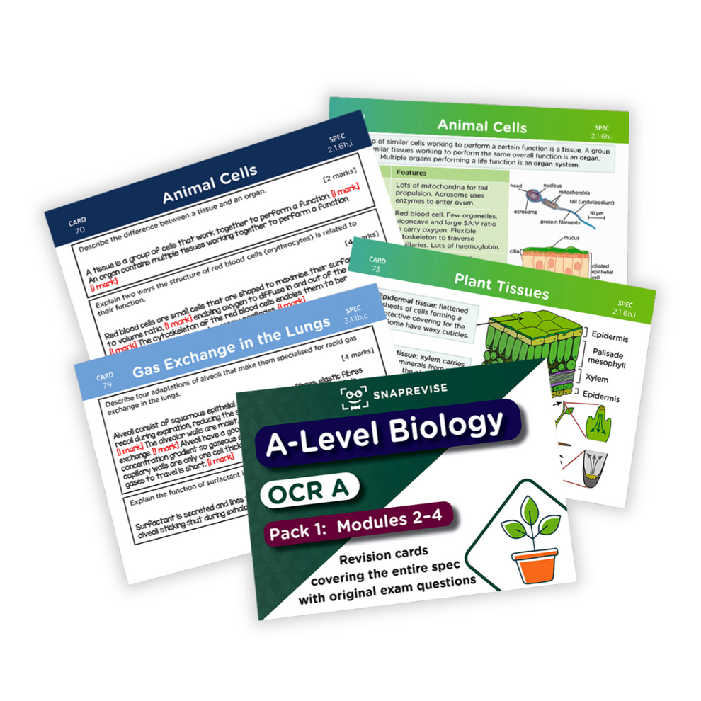 A-Level OCR Biology Revision Cards: Pack 1 of 2 (Modules 2-4) – SnapRevise