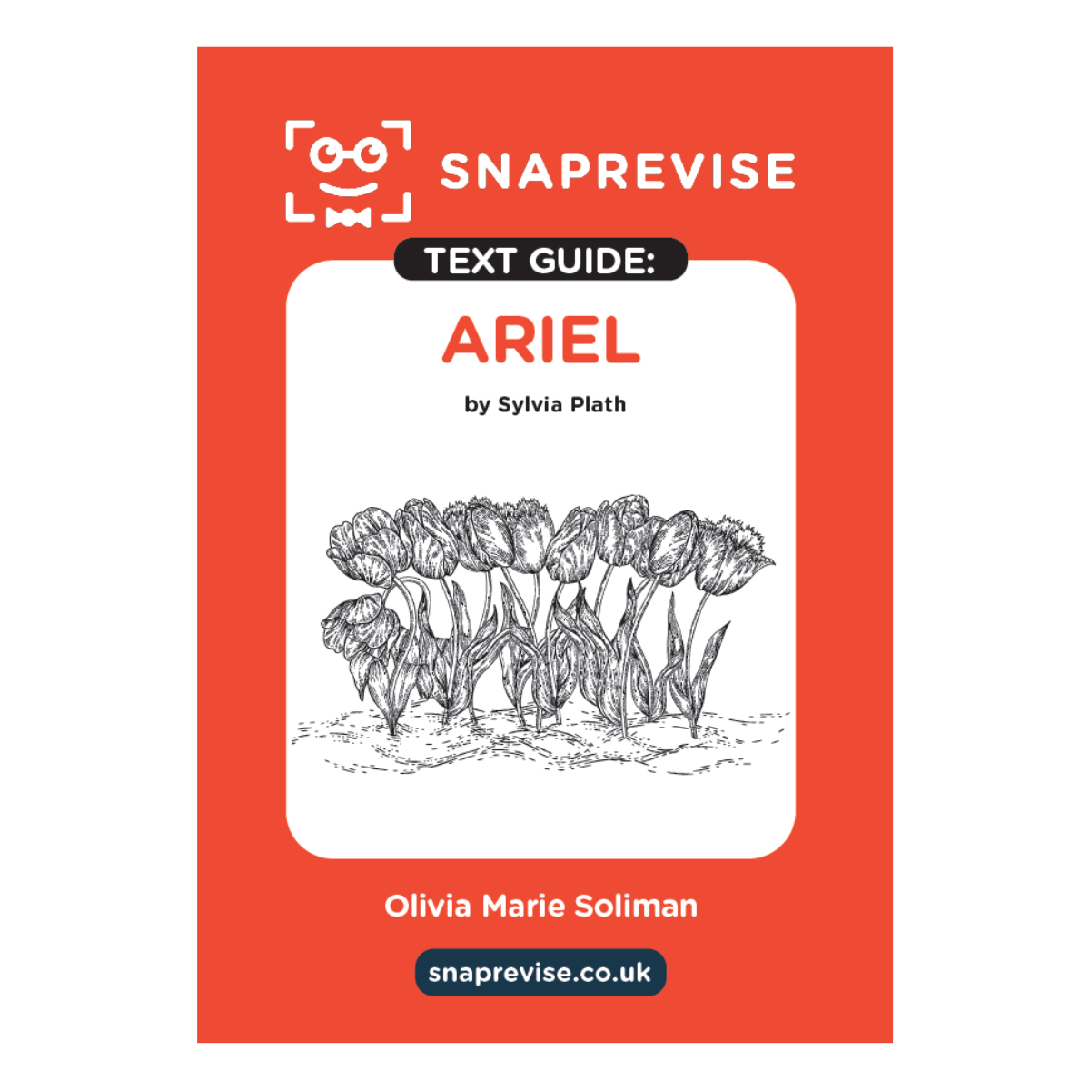 Text Guide: Ariel by Sylvia Plath – SnapRevise
