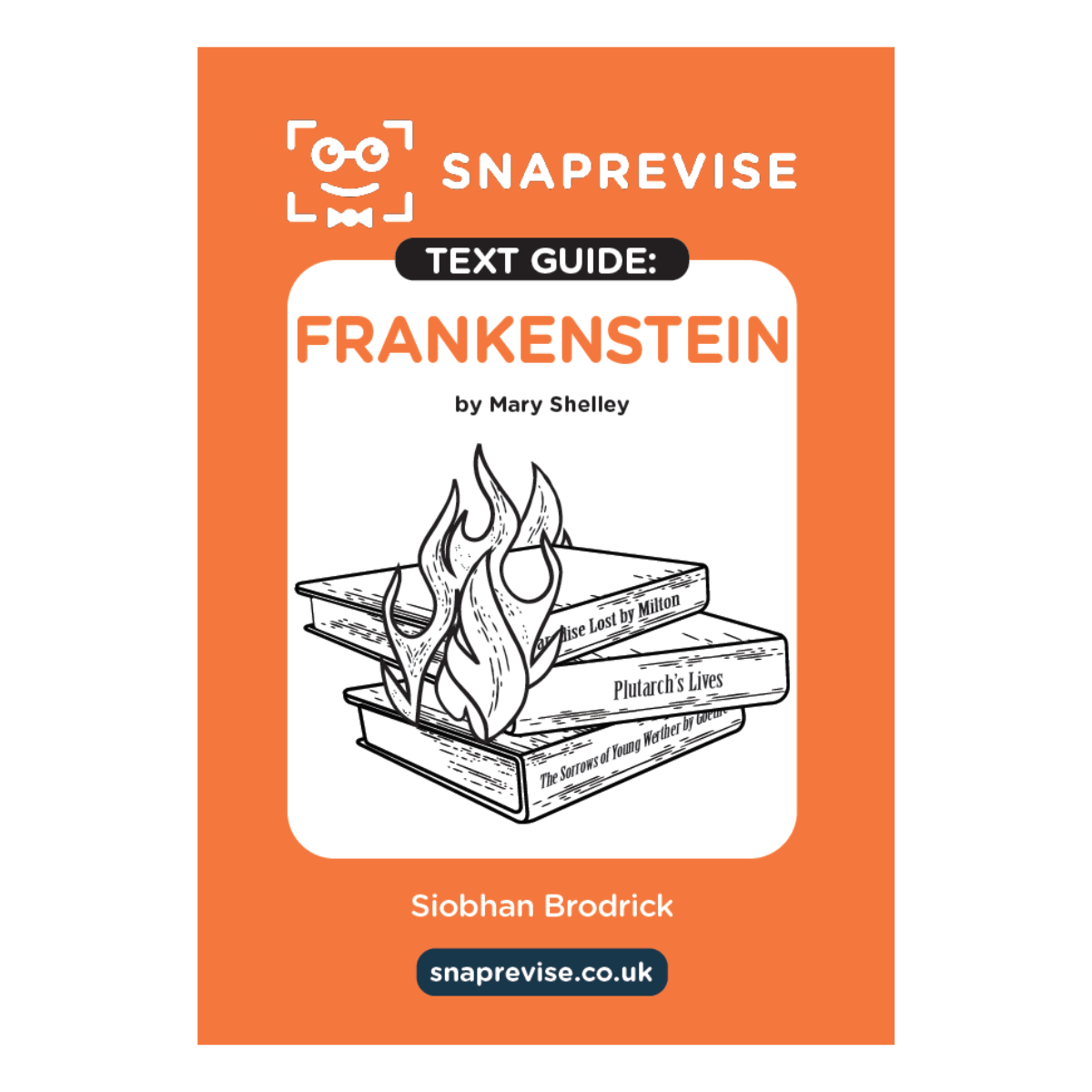 Text Guide: Frankenstein by Mary Shelley – SnapRevise