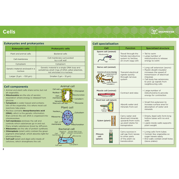 GCSE Biology Summary Notes – SnapRevise
